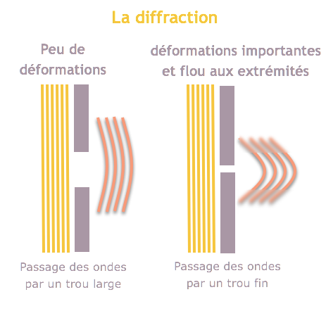 Les fondamentaux de la photographie : Qualité de la lumière