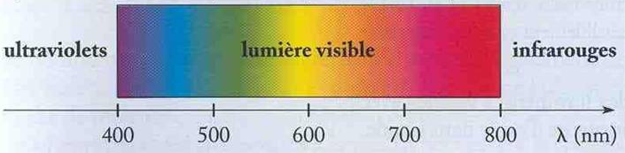 Les fondamentaux de la photographie : La lumière