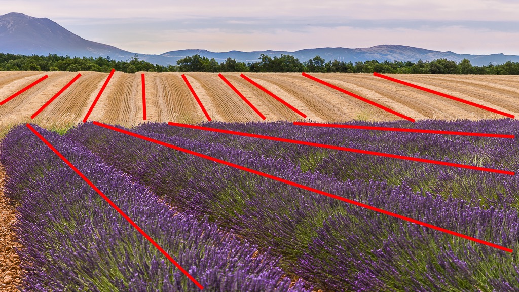 Le commentaire critique d'une photographie